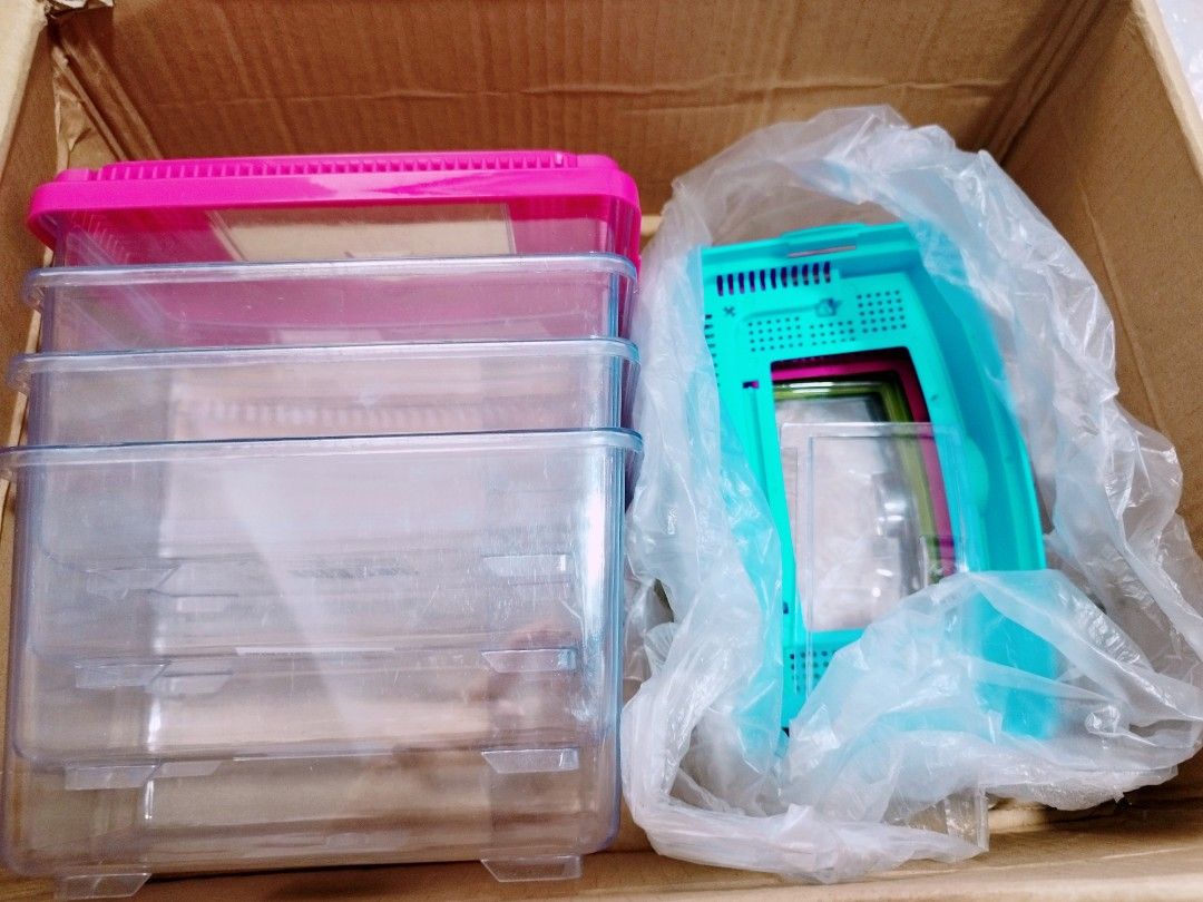 Aquarium plastic fish, turtle,insect tank free net, Pet Supplies, Homes ...