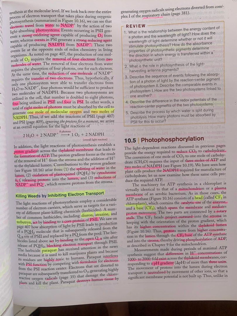 Cell Biology by Gerald Karp 7th Edition, Hobbies & Toys, Books ...