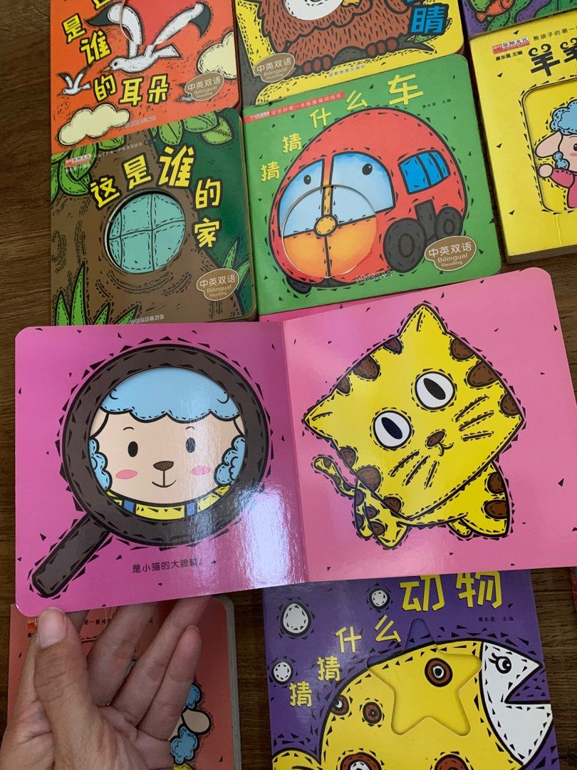 English Chinese Bilingual Block Books, Hobbies & Toys, Books ...