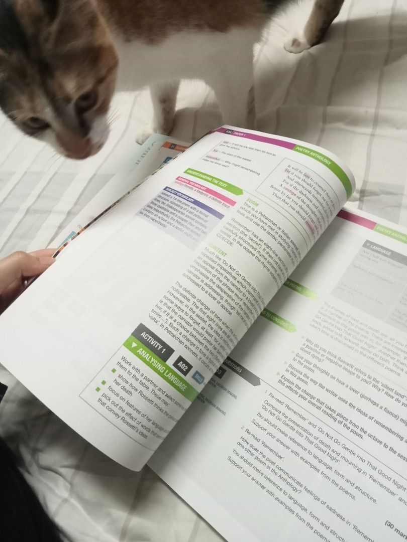 English Literature Pearson Edexcel textbook 9-1 GCSE, Hobbies & Toys ...