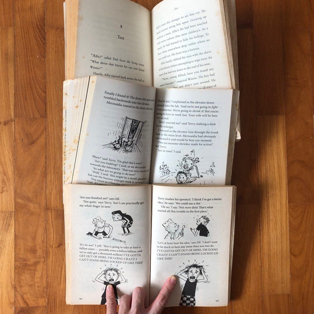 Final clearout! David Walliams Storey Treehouse Rainbow Magic story ...