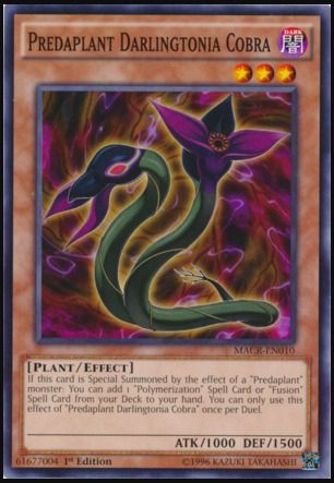 Japanese Yu-Gi-Oh Predaplant Set, Hobbies & Toys, Toys & Games on Carousell