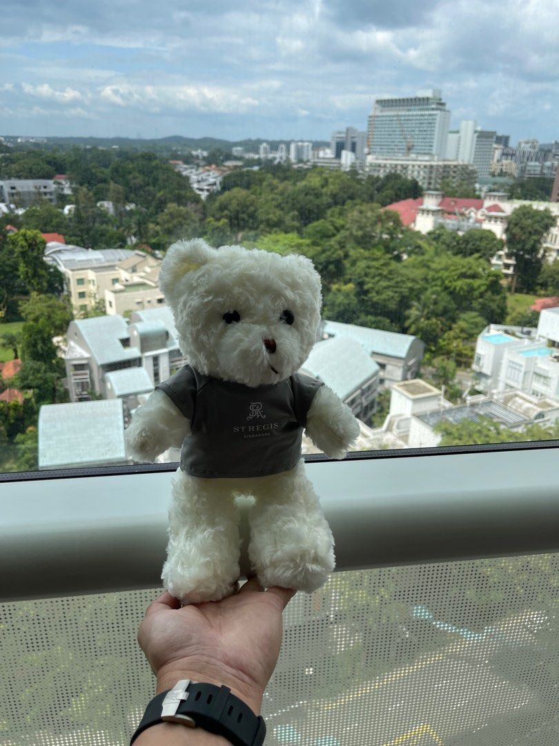 Teddy Bear St Regis Singapore, Hobbies & Toys, Toys & Games on Carousell