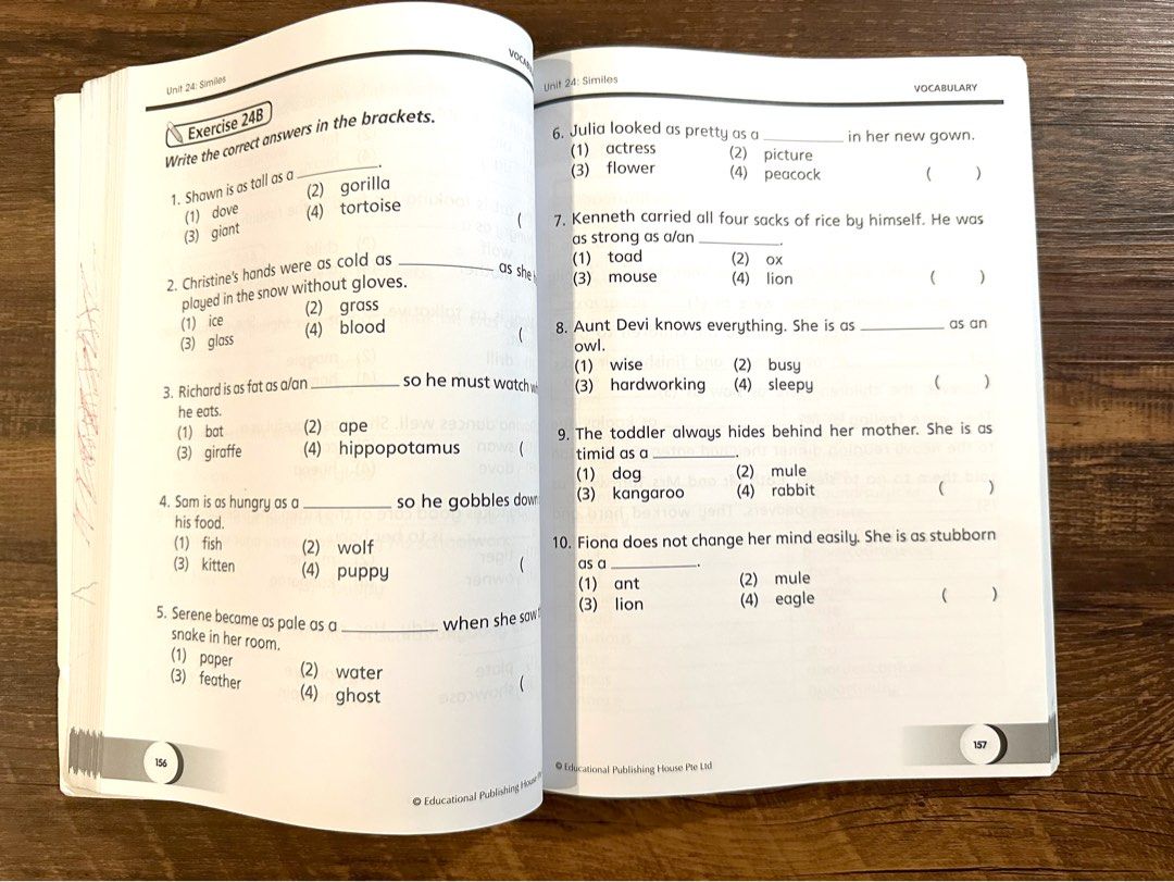 Ultimate Guide for Grammar Vocabulary and Comprehension P1 Primary 1 ...