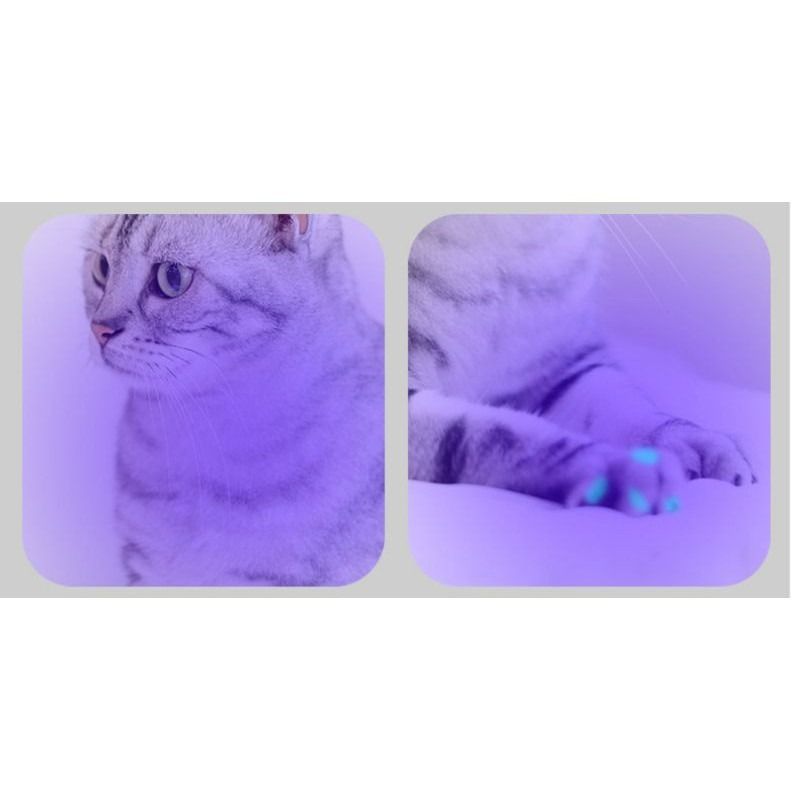Wood's lamp cat ringworm detection pet fungus ultraviolet cat laser pen ...