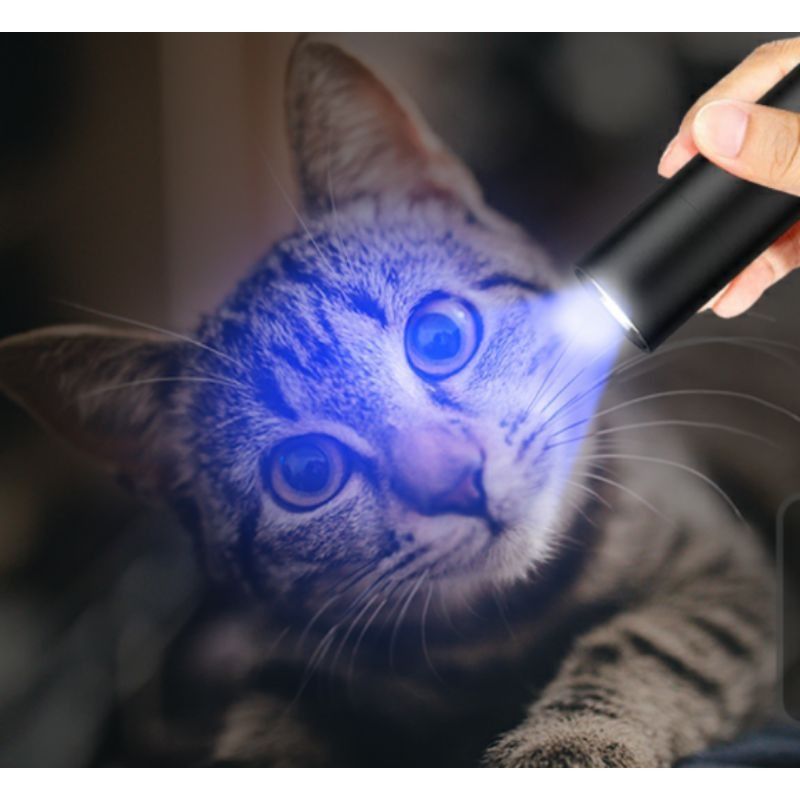 Wood's lamp cat ringworm detection pet fungus ultraviolet cat laser pen ...