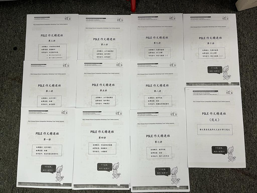 2023 P6 PSLE Chinese picture compo writing techniques model composition ...