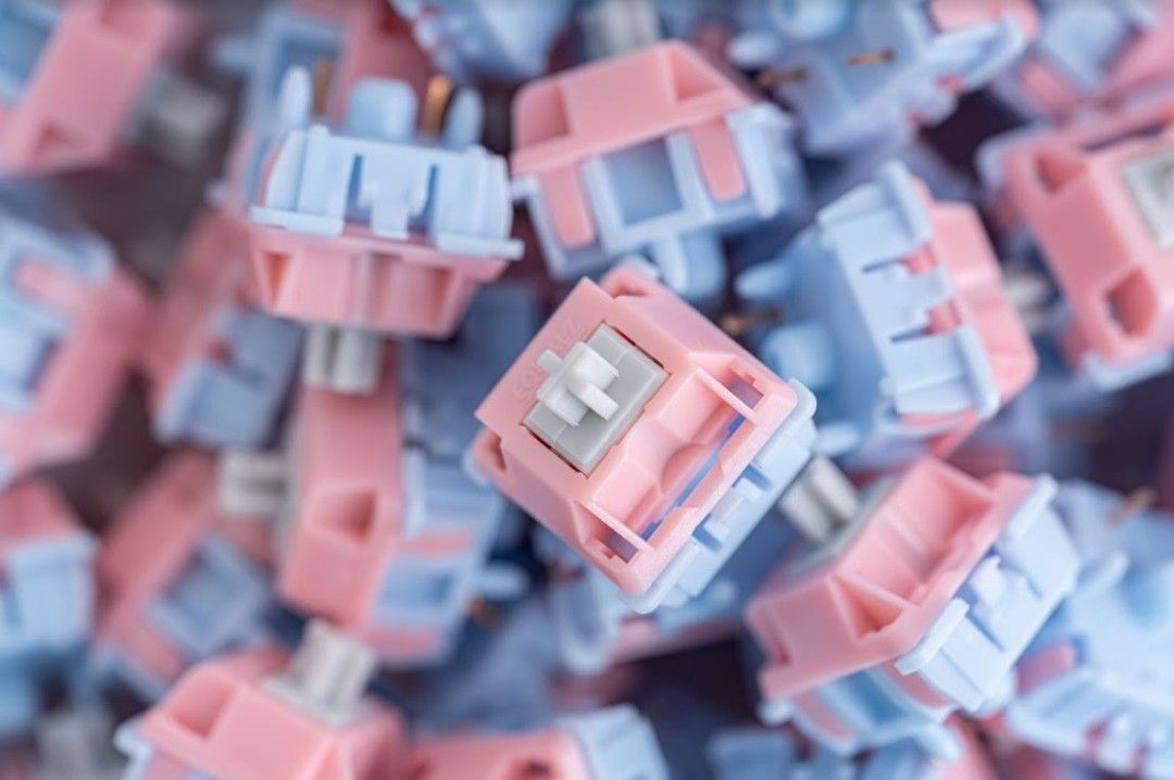 C3 FIERCE GIRLS SWITCHES, Computers & Tech, Parts & Accessories ...