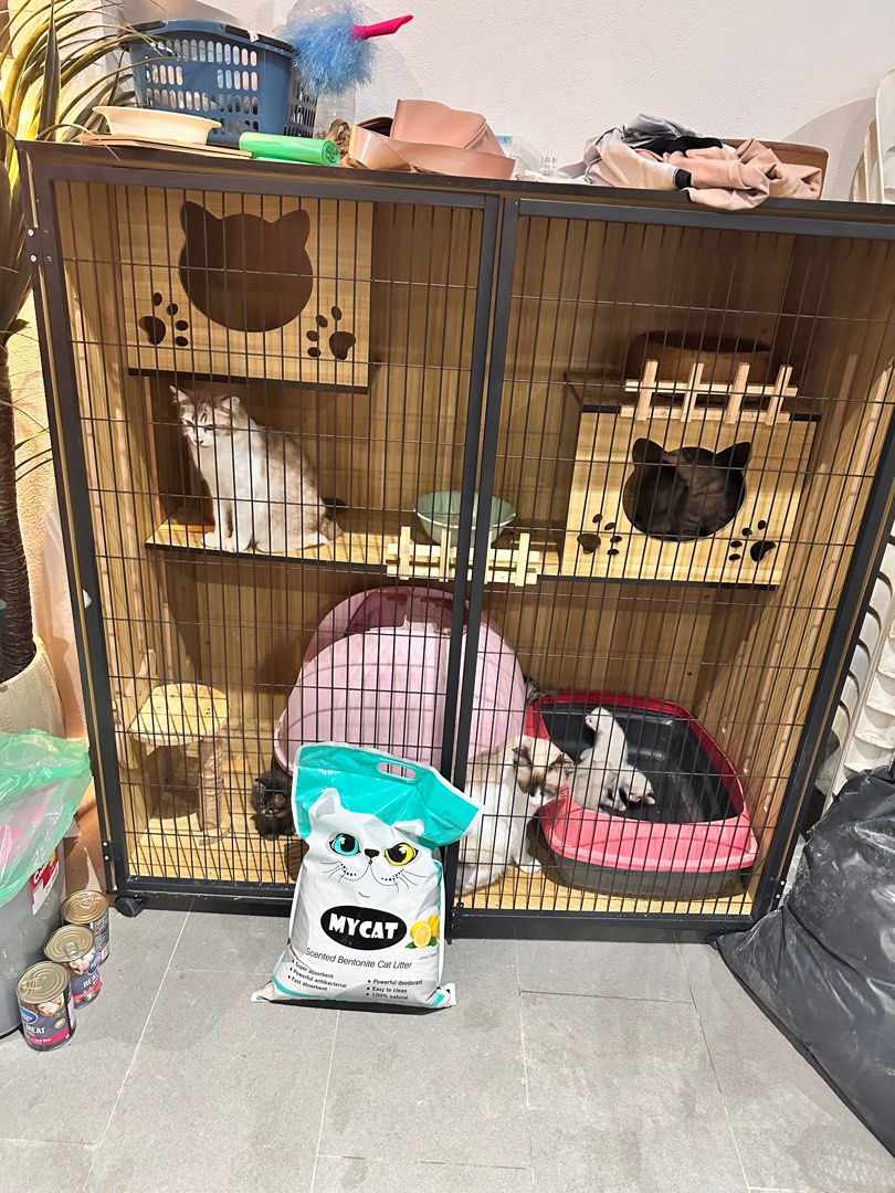 Kandang Kucing, Pet Supplies, Homes & Other Pet Accessories on Carousell