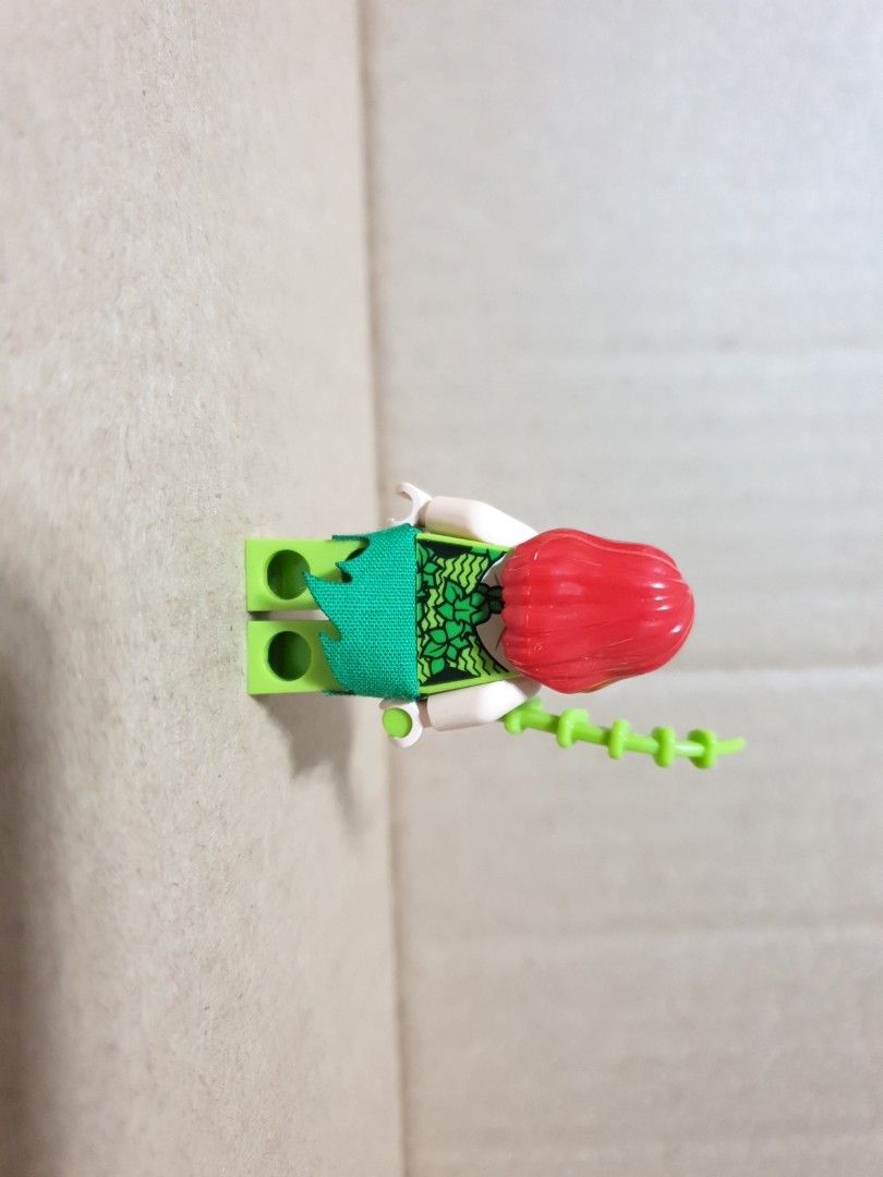 Lego dc super heroes poison ivy, Hobbies & Toys, Toys & Games on Carousell