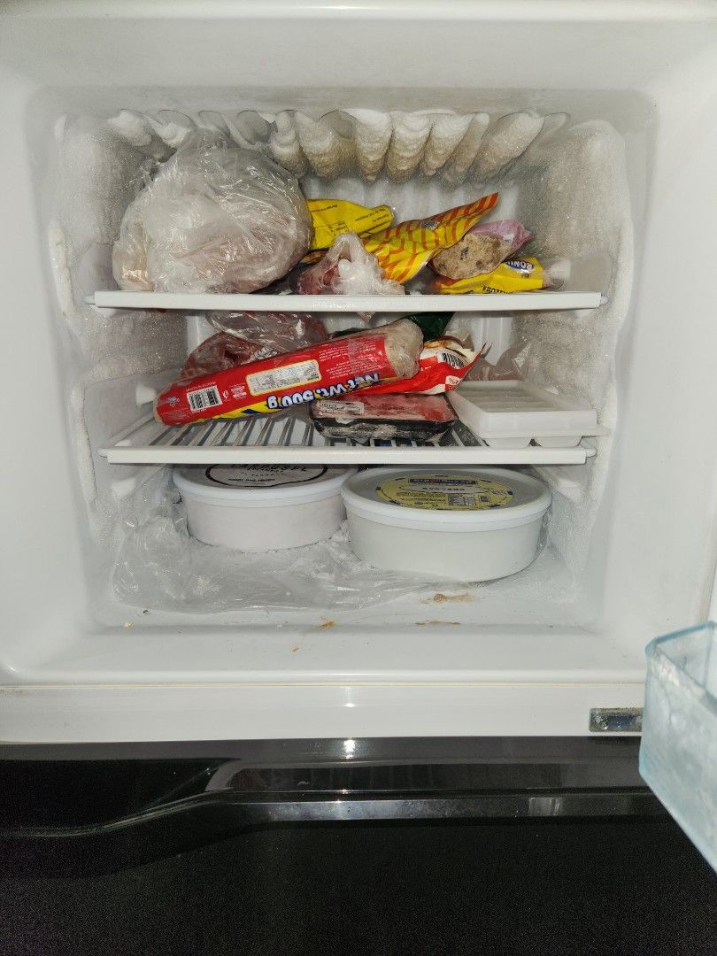 Panasonic NRBQ241VS 8.7cuft Two Door Inverter Refrigerator REPRICED, TV ...