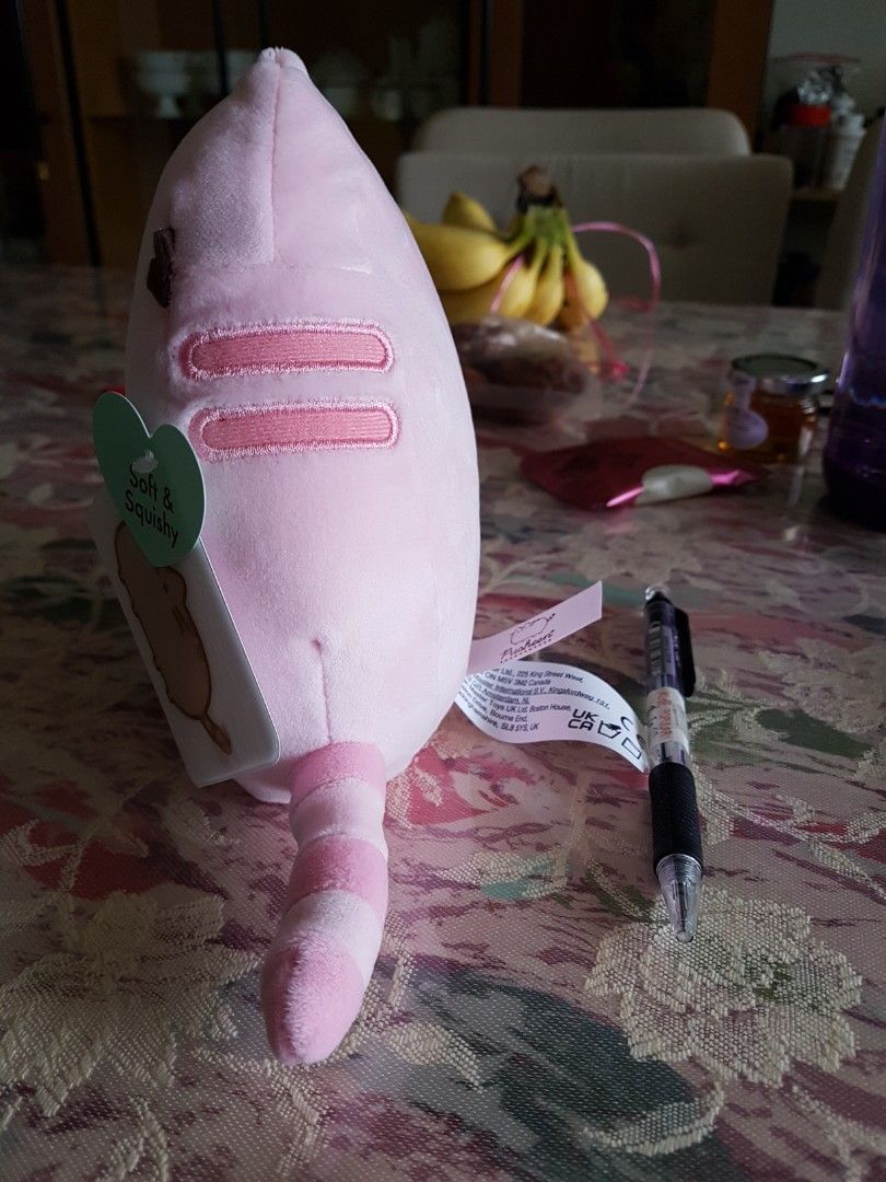 Pink mochi pusheen plush, Everything Else on Carousell