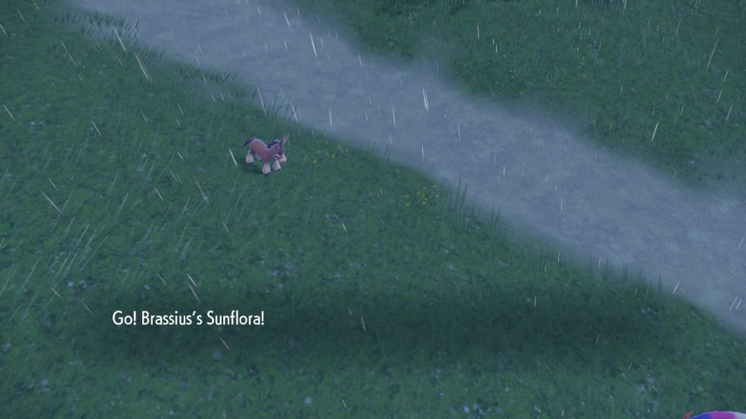 Pokemon Scarlet/Violet Special Coaches Partner Ribbon, Video Gaming ...