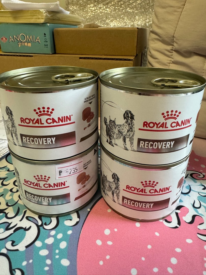 Royal Canin Recovery food in can, Pet Supplies, Pet Food on Carousell