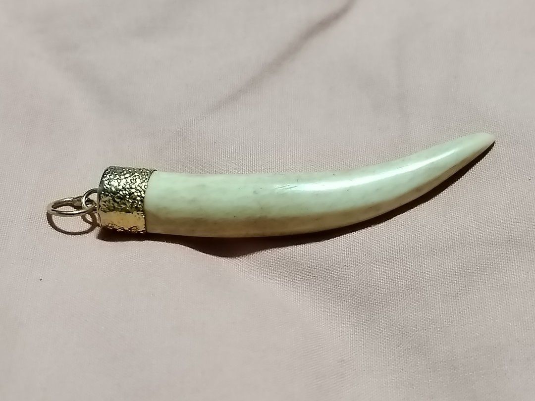 Taring Kijang Alsi, Hobbies & Toys, Memorabilia & Collectibles ...