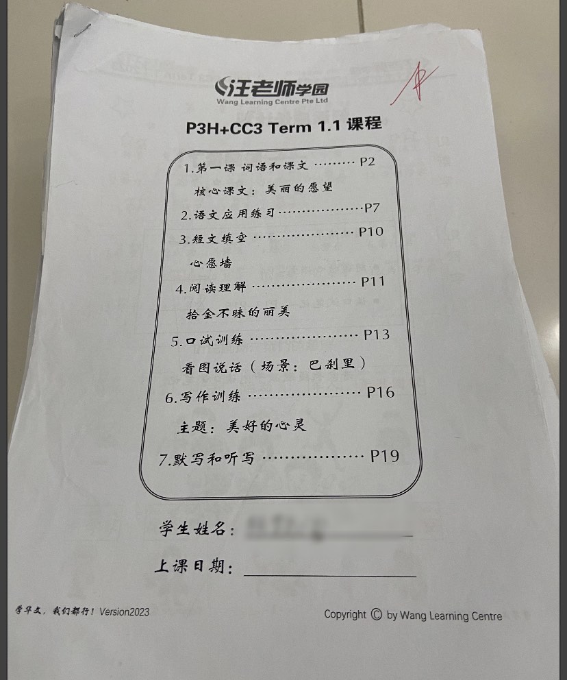 Wang learning P3 chinese worksheet, Hobbies & Toys, Books & Magazines ...