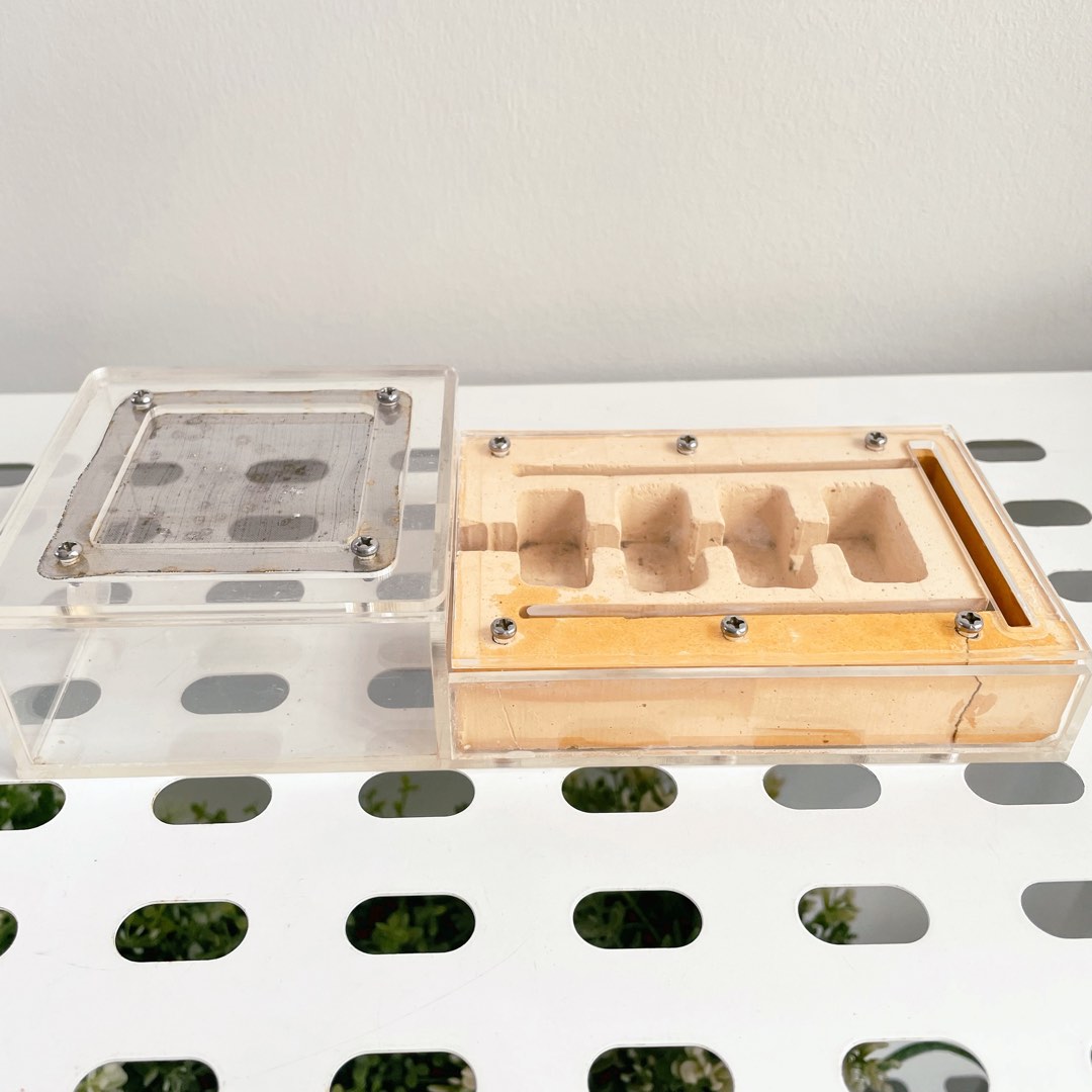 Ant formicarium plaster, Pet Supplies, Homes & Other Pet Accessories on ...