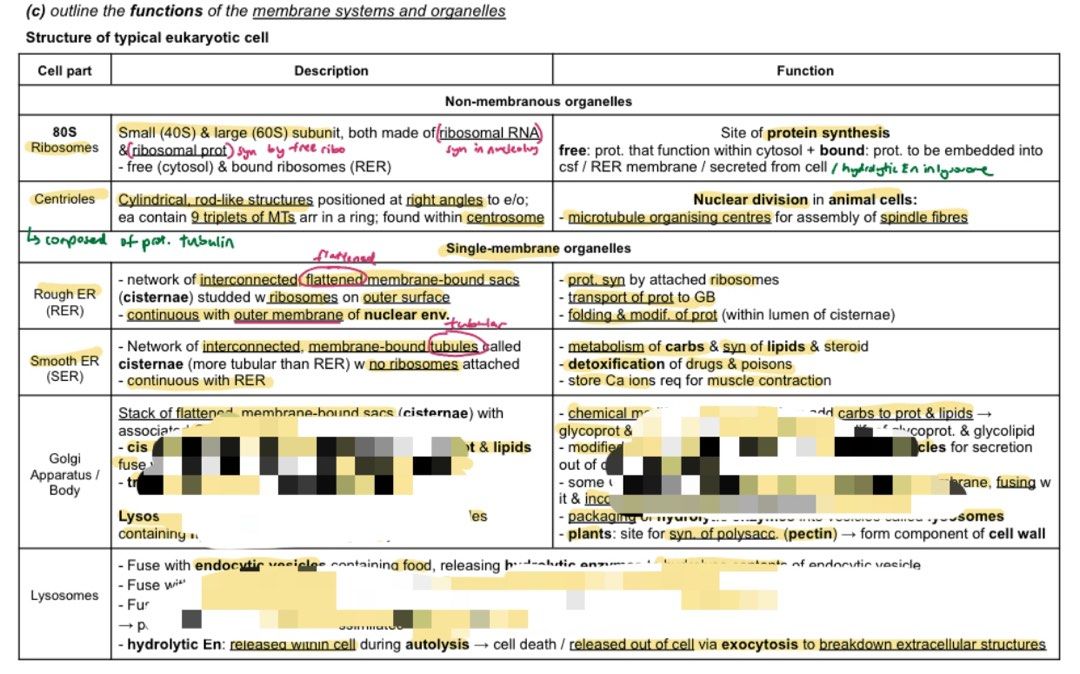 H1 Biology (GCE A-levels) JC notes, Hobbies & Toys, Books & Magazines ...