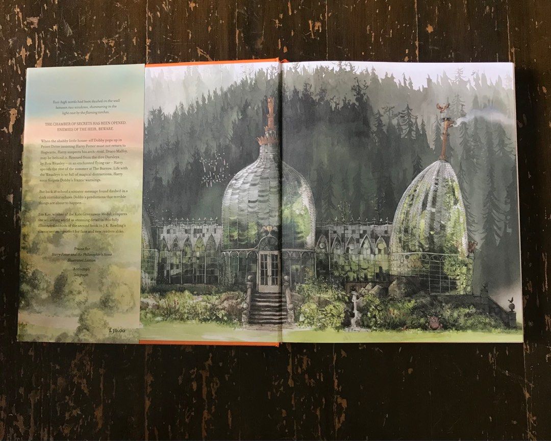 HARRY POTTER ILLUSTRATED VERSION (+free Albus Dumbledore Illustrated ...