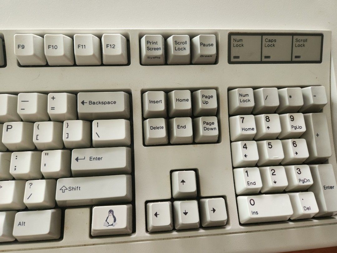 Ibm Model M Keyboard Computers And Tech Parts And Accessories Computer