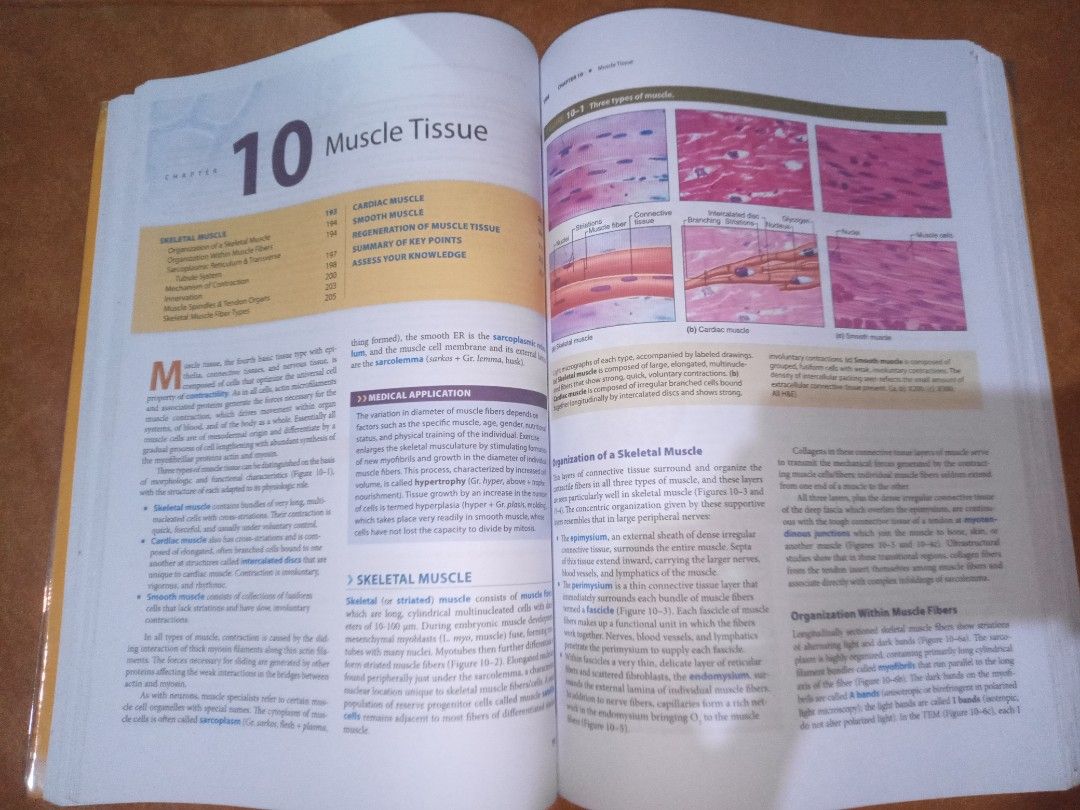 Junqueira's Basic Histology Text and Atlas 14th Edition, Hobbies & Toys ...