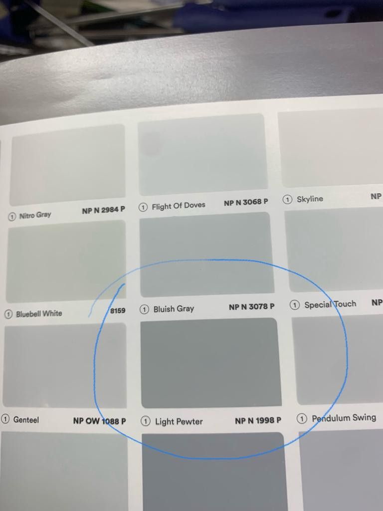 Nippon Paint Light Pewter, Everything Else on Carousell