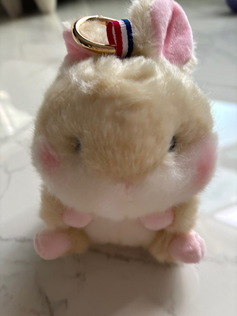 Rabbit Capsule Soft Toy, Hobbies & Toys, Toys & Games on Carousell