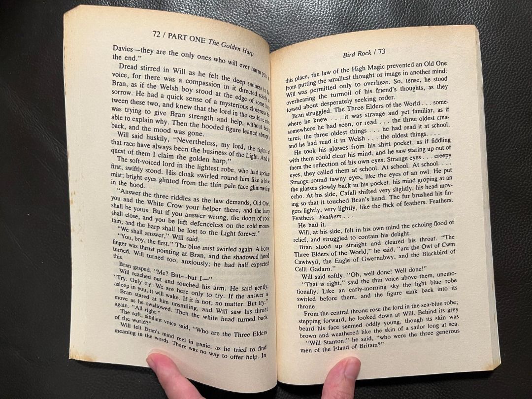 【原文書】The Grey King（The Dark Is Rising #4）二手書, 書籍、休閒與玩具, 書本及雜誌, 小說與非小說主題 ...