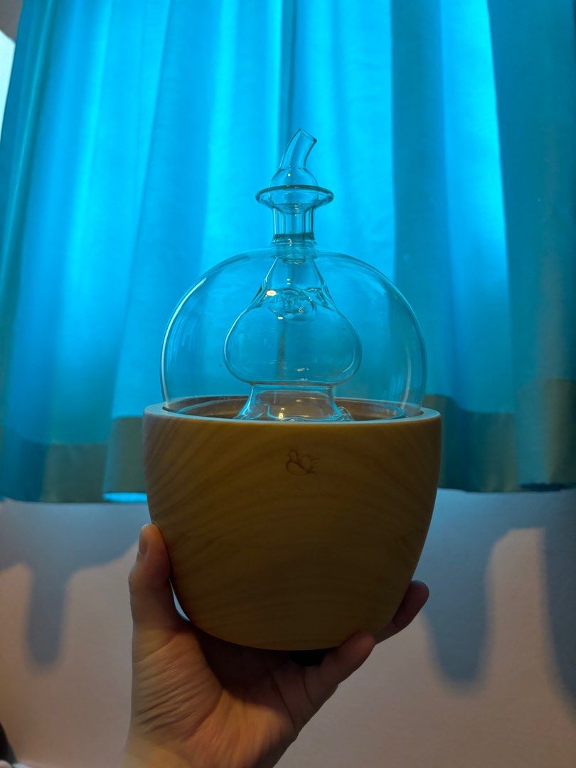 Diffuser Well Used, Everything Else on Carousell