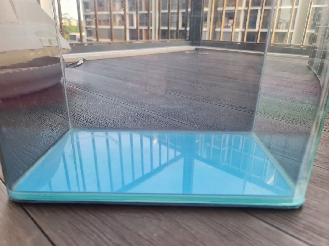 Oceanfree Fish Aquarium Curved Tank Full Setup & Freebies, Pet Supplies ...