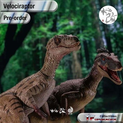 [Closed] Nanmu Studio Dinosaur 1/12 White Queen Blood Knight Velociraptor, Hobbies & Toys, Toys ...