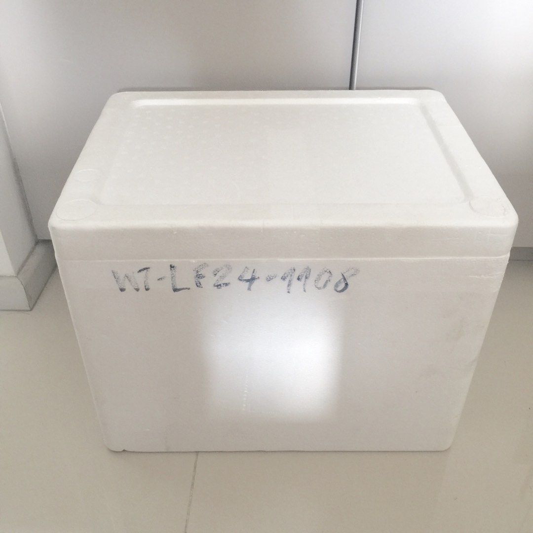 Big Styrofoam Box, Furniture & Home Living, Home Improvement ...