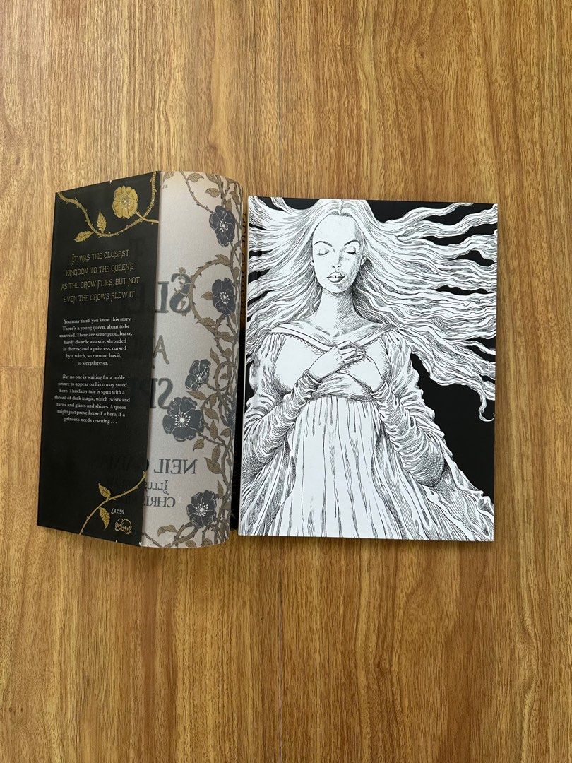 The Sleeper and the Spindle Neil Gaiman, Hobbies & Toys, Books ...