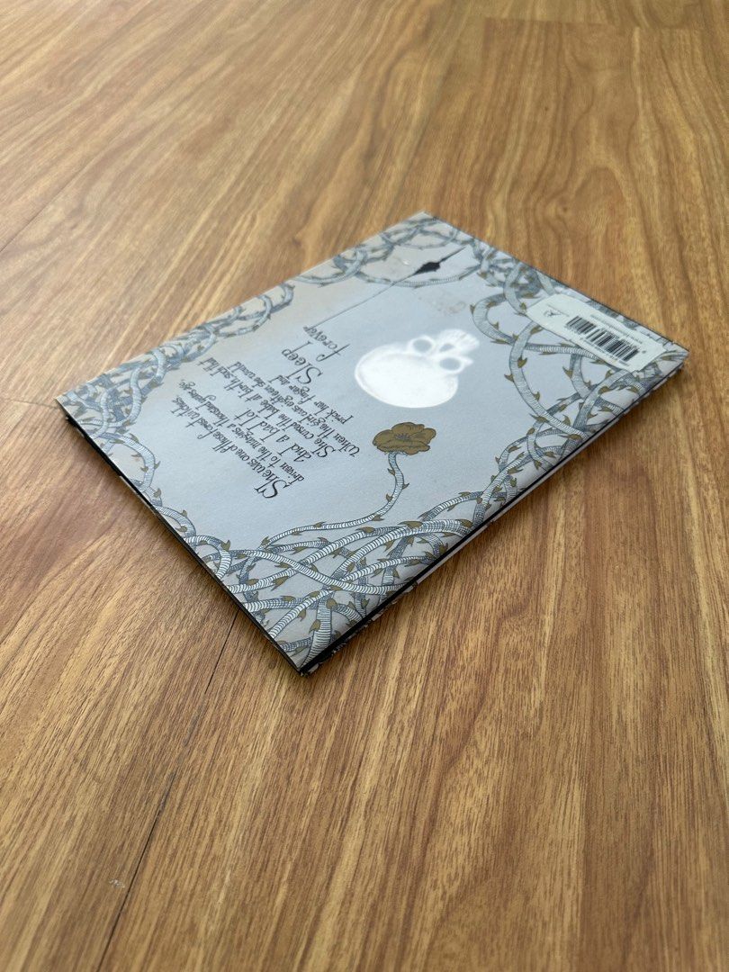 The Sleeper and the Spindle Neil Gaiman, Hobbies & Toys, Books ...