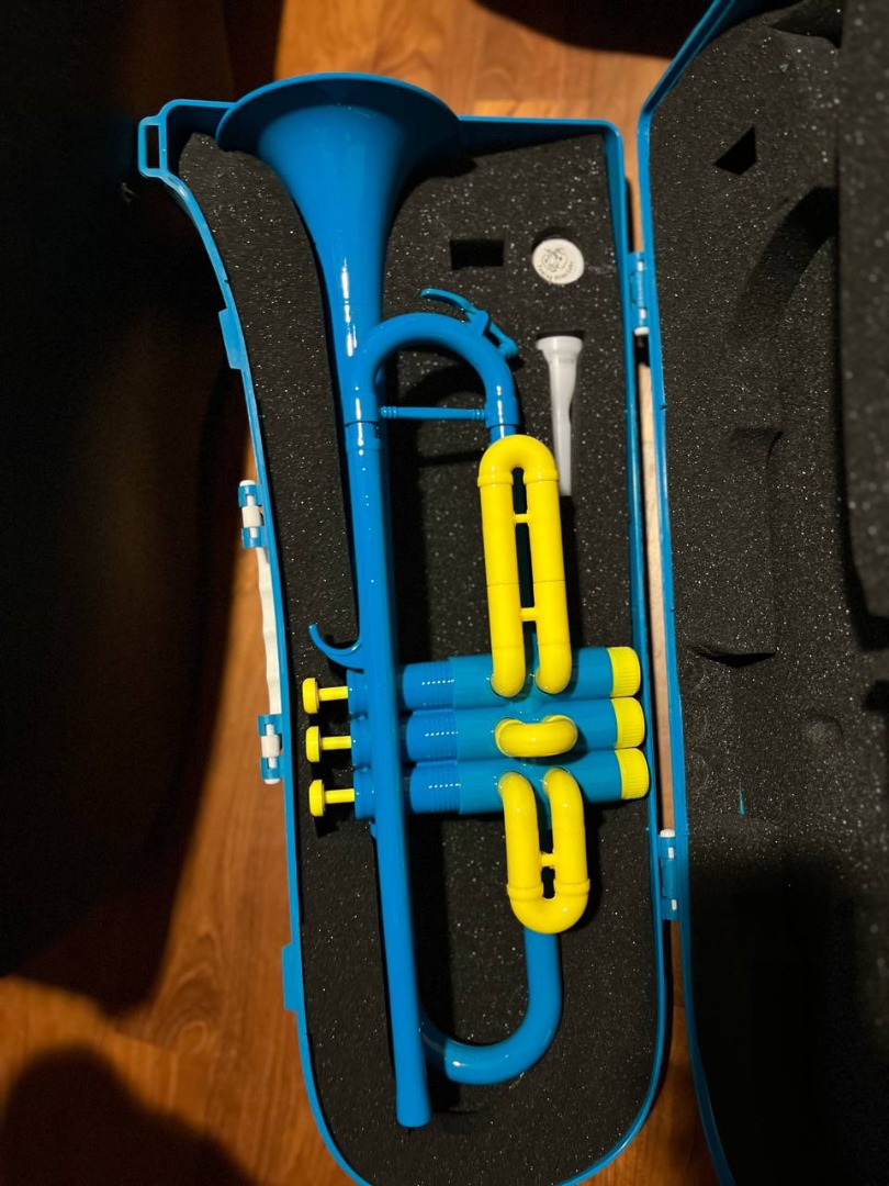 Tiger Instruments Plastic Trumpet, Hobbies & Toys, Music & Media ...