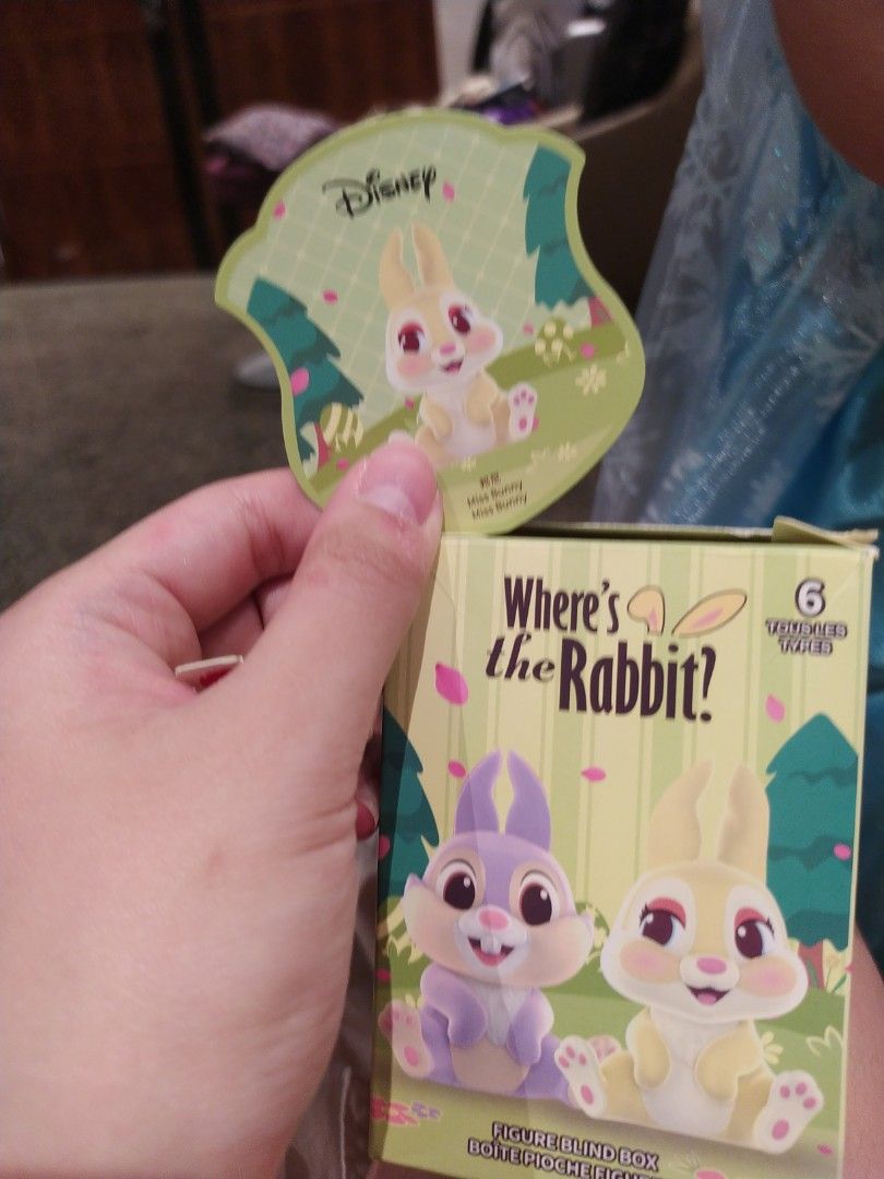 Where's the Rabbit Ms Bunny, Hobbies & Toys, Toys & Games on Carousell