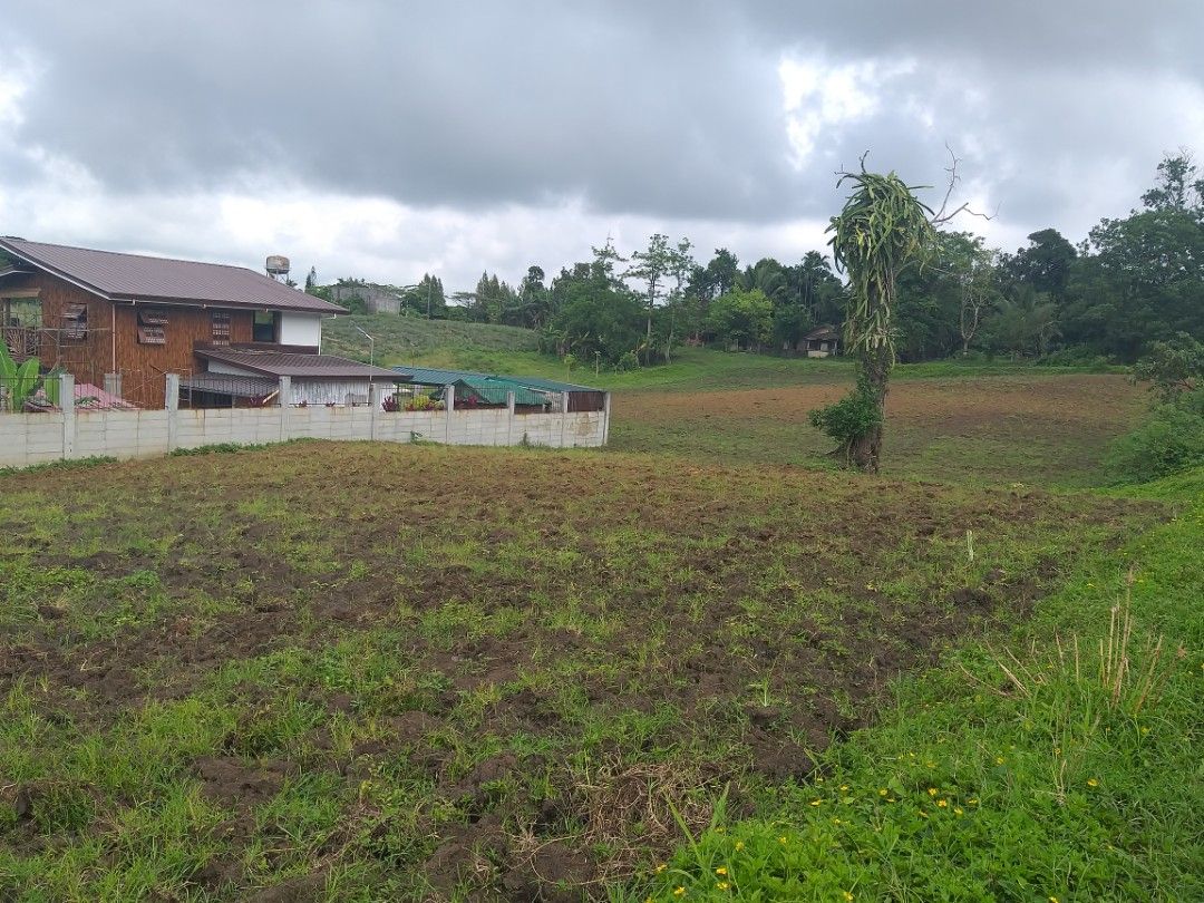 400sq meter Residential Lot Tagaytay Alfonso Cavite, Property, For Sale ...
