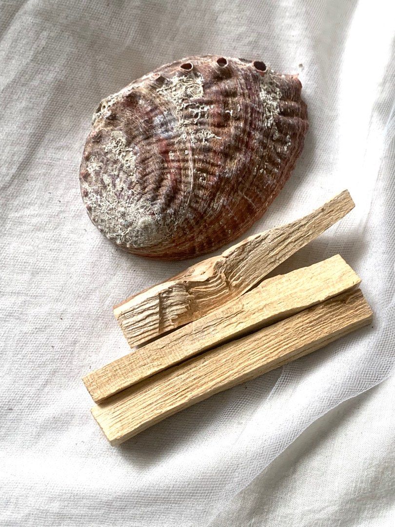 Australian Shell Tray with Palo Santo Smudging Set, Hobbies & Toys ...