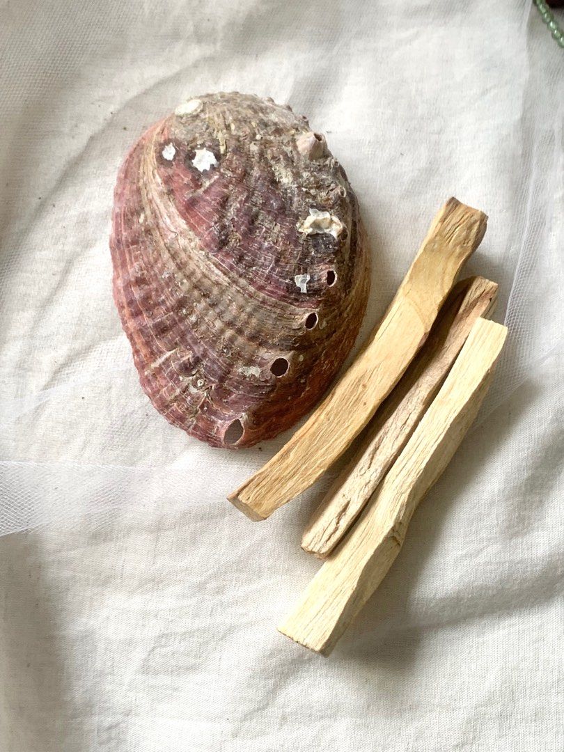 Australian Shell Tray with Palo Santo Smudging Set, Hobbies & Toys ...