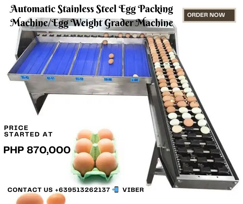 Automatic Stainless Steel Egg Packing Machine/Egg Weight Grader Machine ...