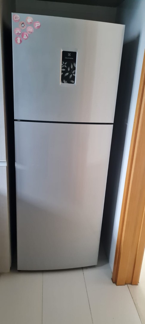 Electrolux 320L Fridge ETB3202PE, TV & Home Appliances, Kitchen ...