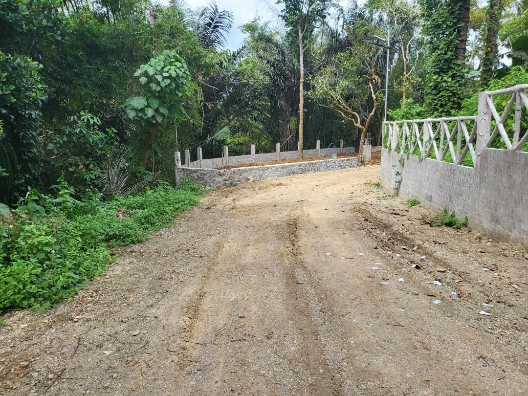 FARM LOT FOR SALE WITH FRUITS BEARING, Property, For Sale, Lot on Carousell