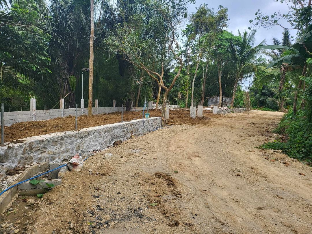 FARM LOT WITH FRUITS BEARING NEAR TAGAYTAY , Property, For Sale, Lot on ...