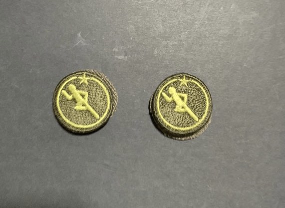 Gold IPPT Patch for No. 4, Everything Else on Carousell