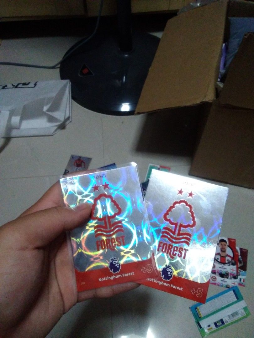 Panini Adrnelayn XL Club Crests, Hobbies & Toys, Toys & Games on Carousell