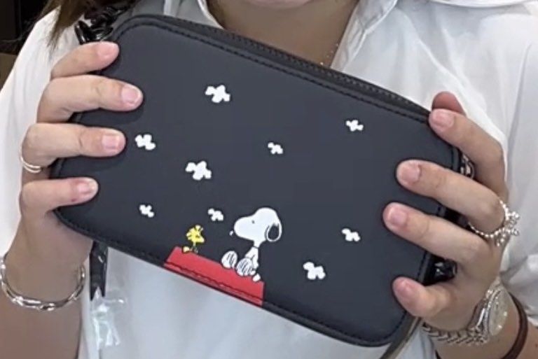 Snoopy camera bag, Women's Fashion, Bags & Wallets, Cross-body Bags on ...