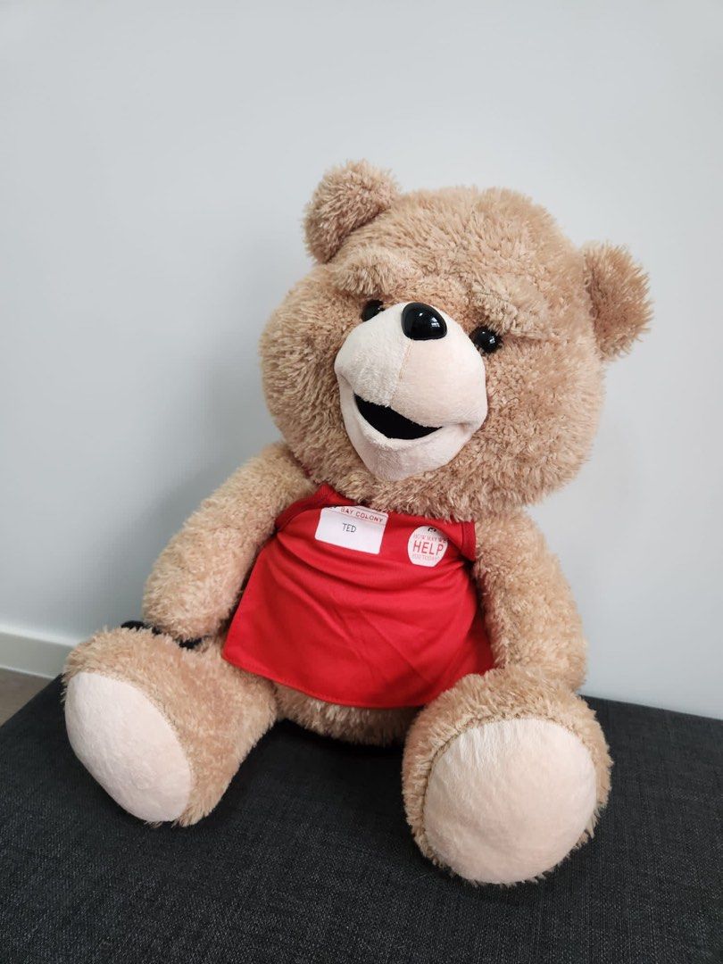 Ted plushie, Hobbies & Toys, Toys & Games on Carousell