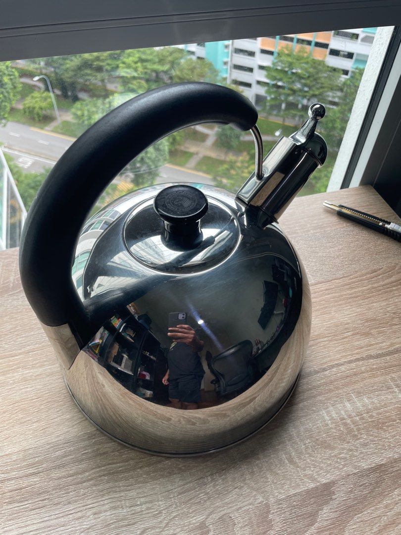 Zebra Stainless Steel Kettle, TV & Home Appliances, Kitchen Appliances ...