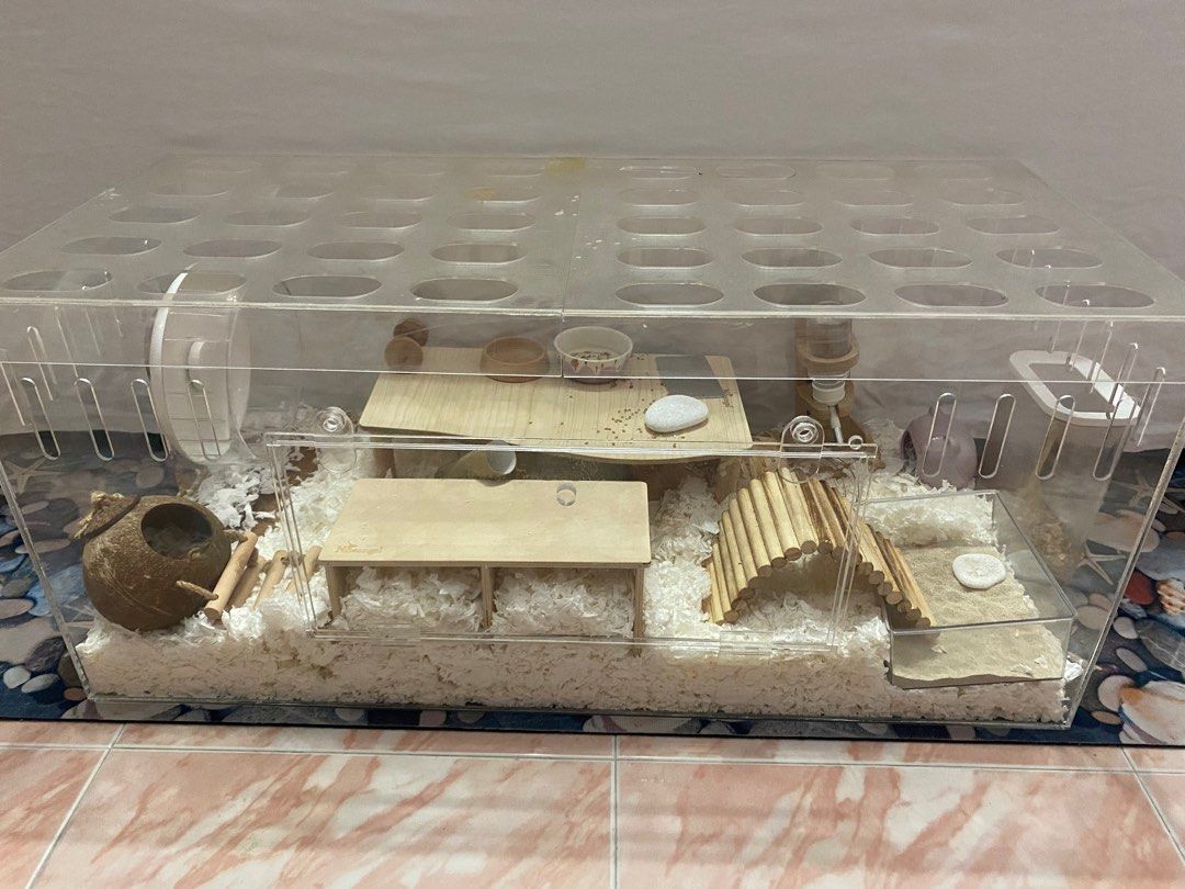 Acrylic cage / tank (for hamsters) 4mm, Pet Supplies, Homes & Other Pet ...