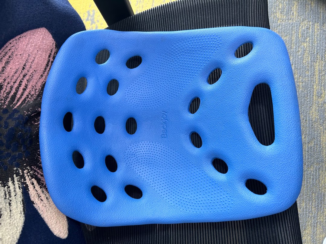 Backjoy seat, Furniture & Home Living, Home Improvement & Organisation ...